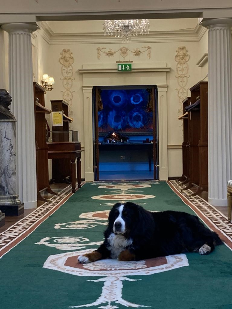 Media Library | News Releases | President of Ireland